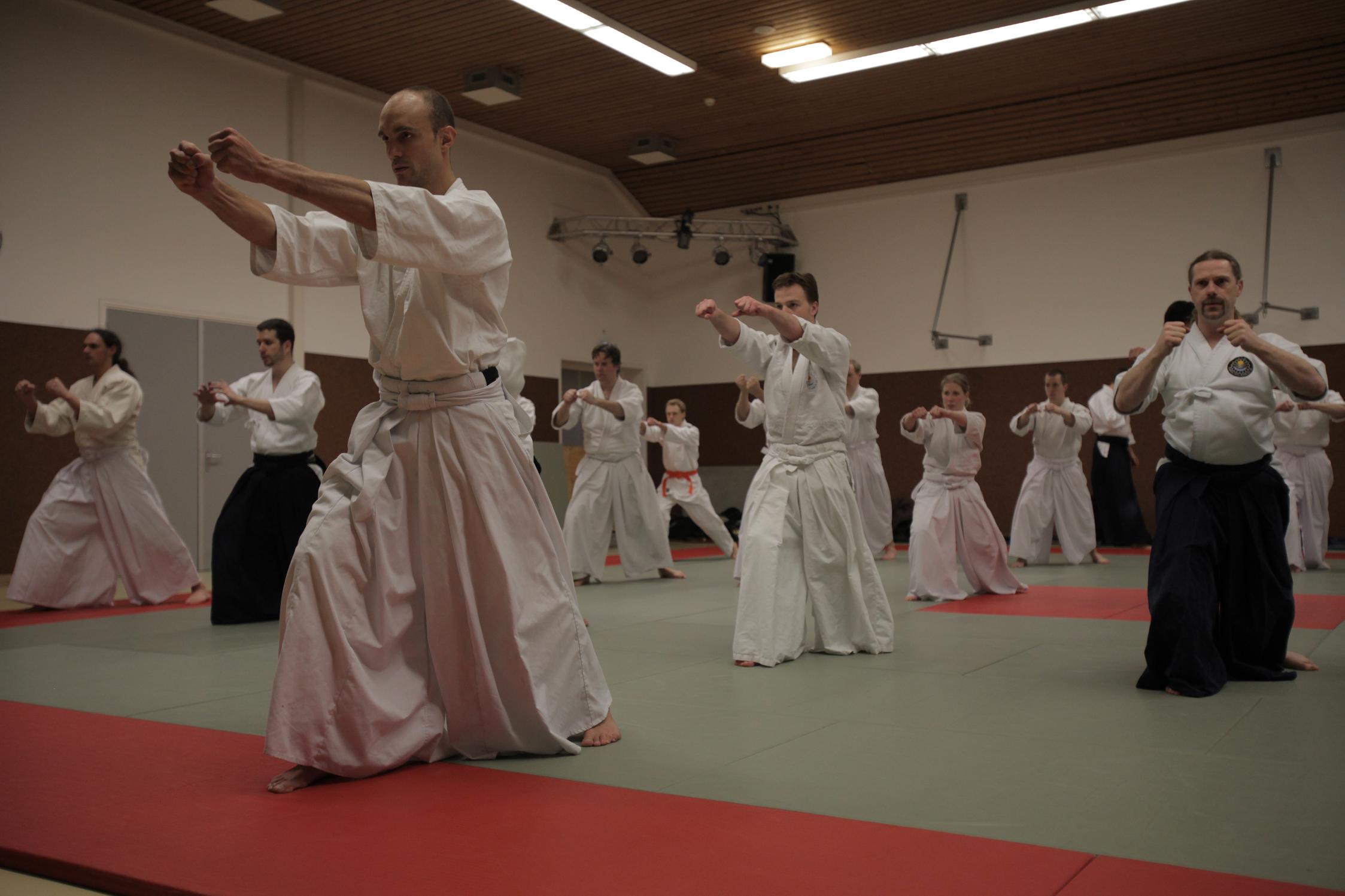 Internationale Stage in Nederland – Takeda-Ryu - Takeda-Ryu